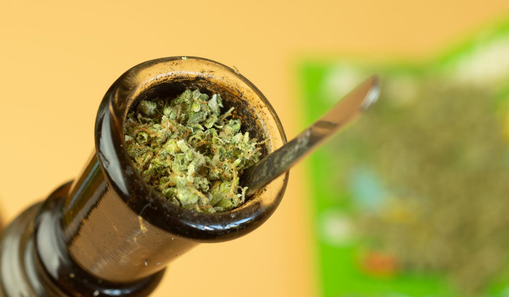 Australia's Bong Laws: Cannabis Regulations Explained – Glass Bongs ...