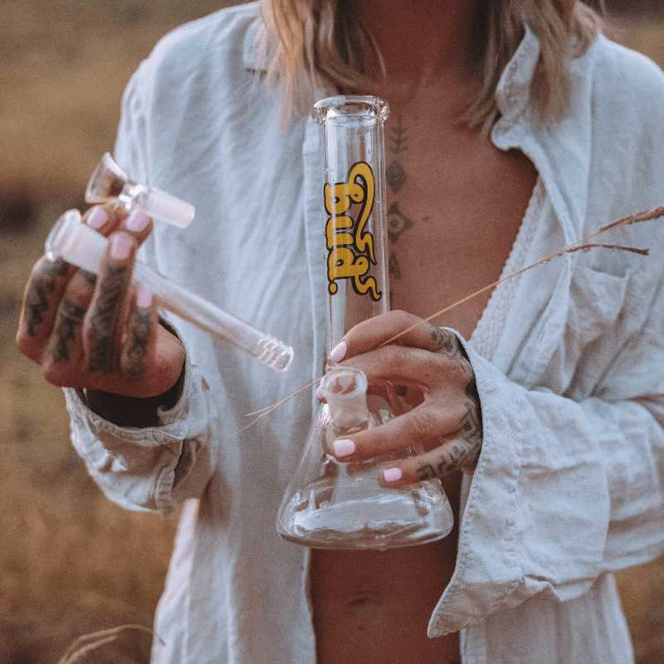 Australia's Bong Laws: Cannabis Regulations Explained – Glass Bongs Australia