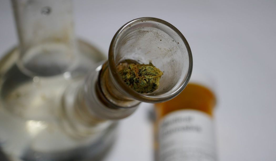 Australia's Bong Laws: Cannabis Regulations Explained – Glass Bongs ...