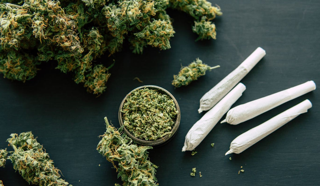 Indica vs Sativa: Understanding the Differences & Effects – Glass Bongs ...