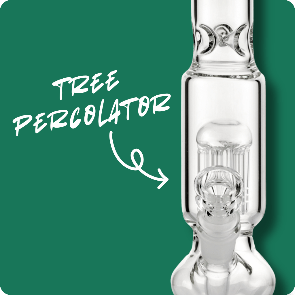 Higher Concepts Tree Percolator Bong 33cm – Glass Bongs Australia