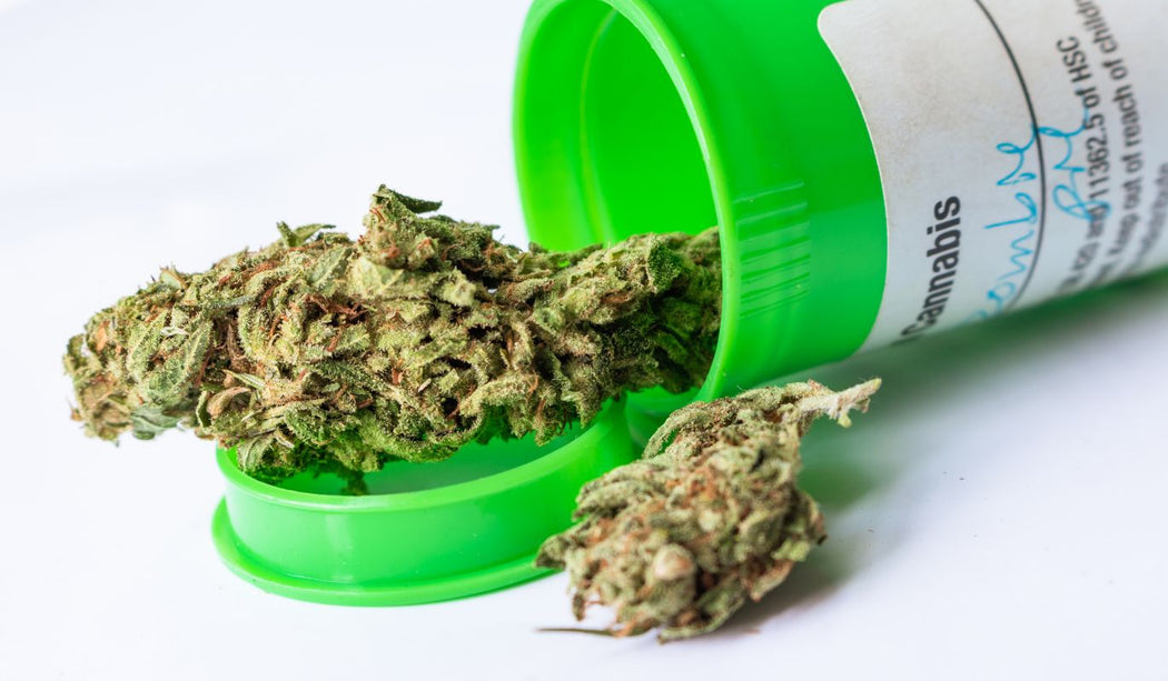 Australia's Bong Laws: Cannabis Regulations Explained – Glass Bongs ...